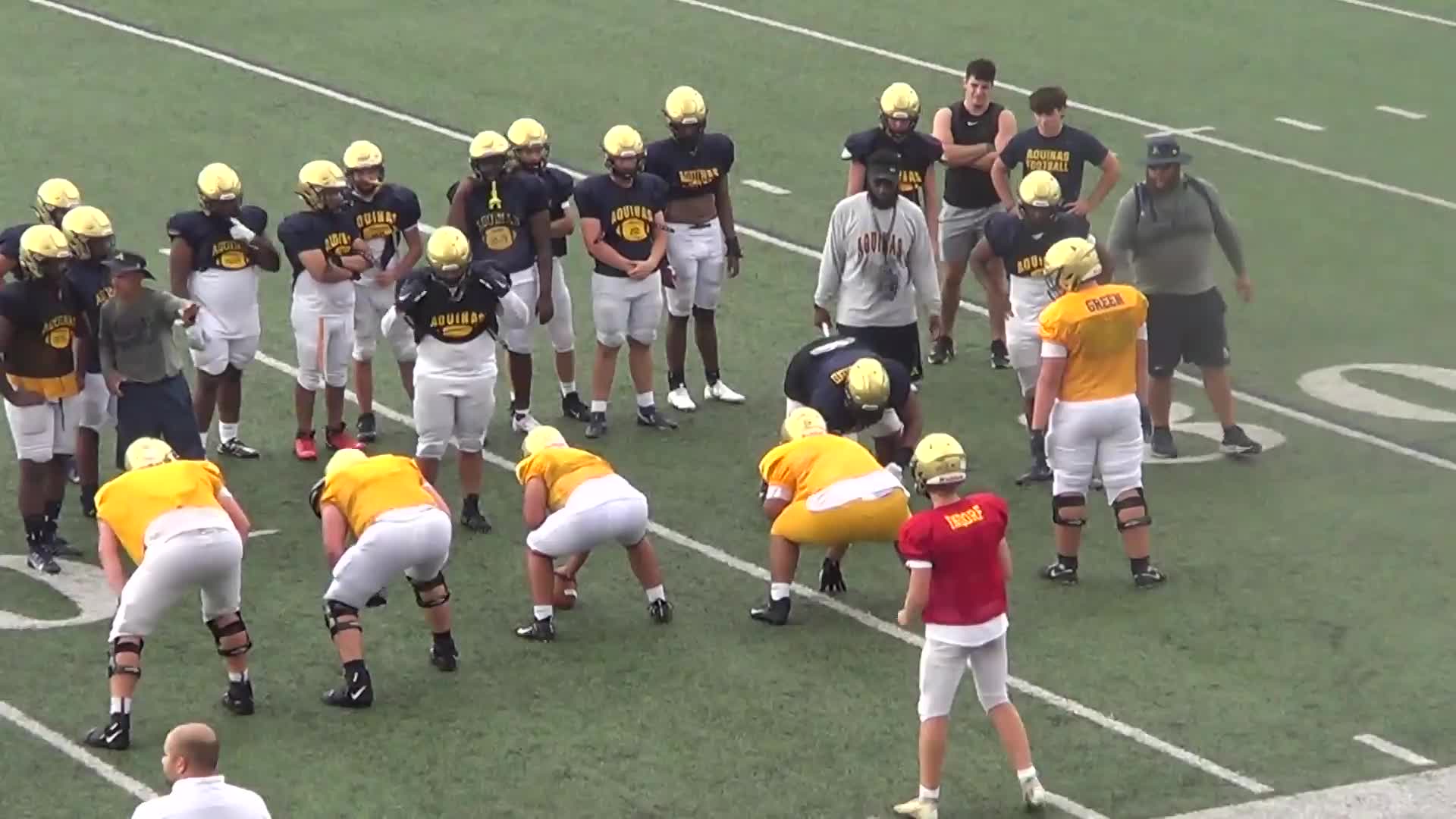 Blue And Gold Game - Brian Suarez highlights - Hudl